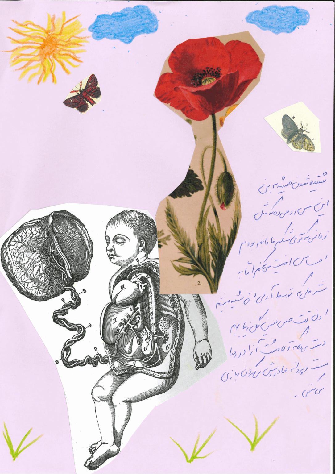 Queer Migrant Project - LGBTI Legal Service